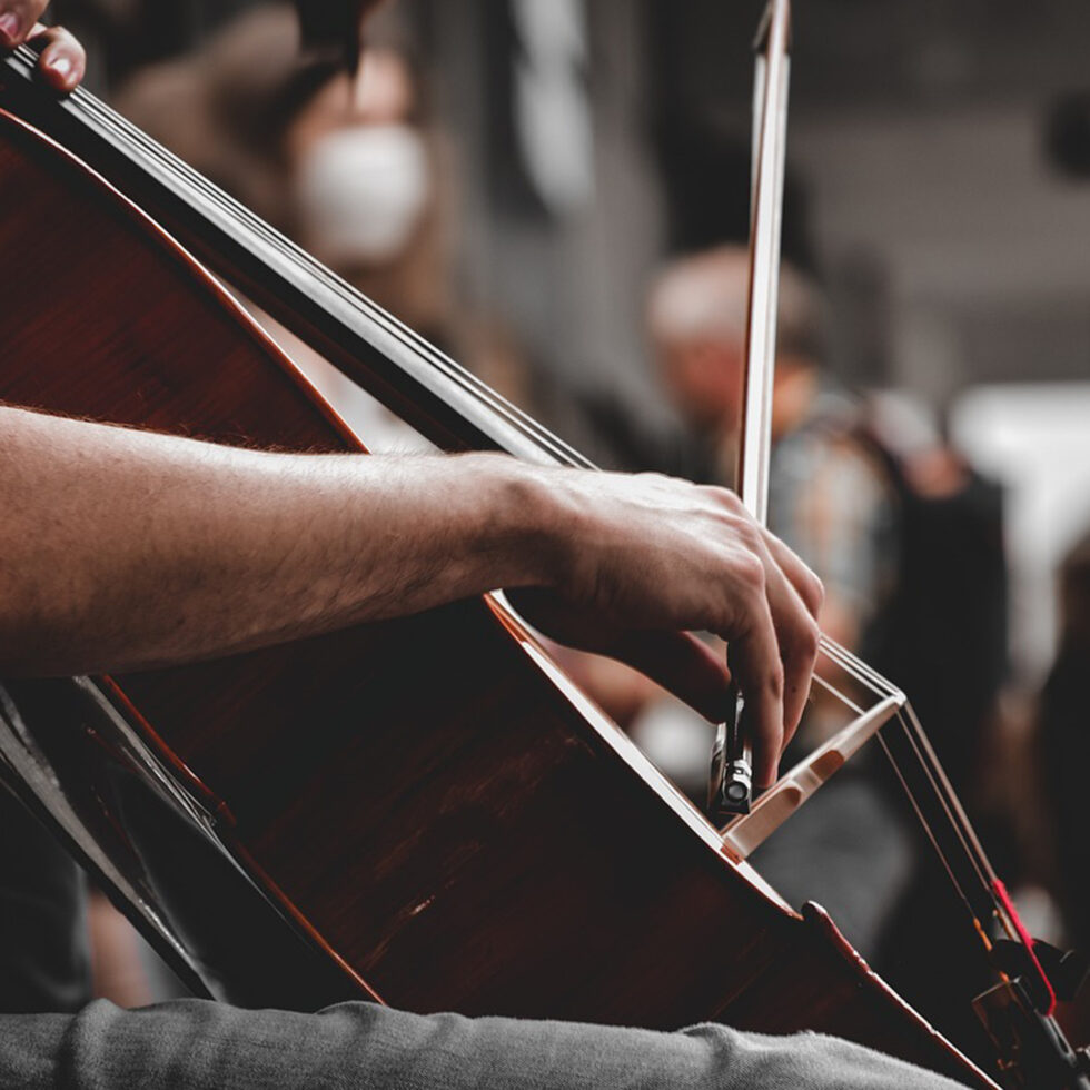 Manitoba Arts Network | Connect - Showcase - Promote